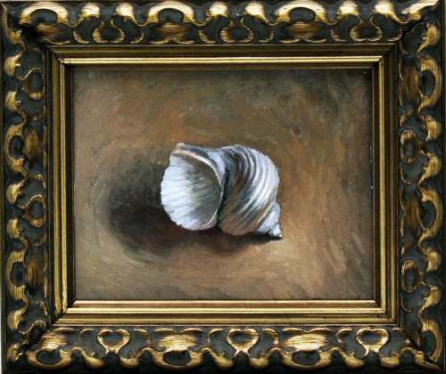 IQ Kunst | Kunstuitleen & Galerie | Unieke schelp | Daniel Douglas